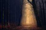 Darkness Falls Review – Scare Me Please